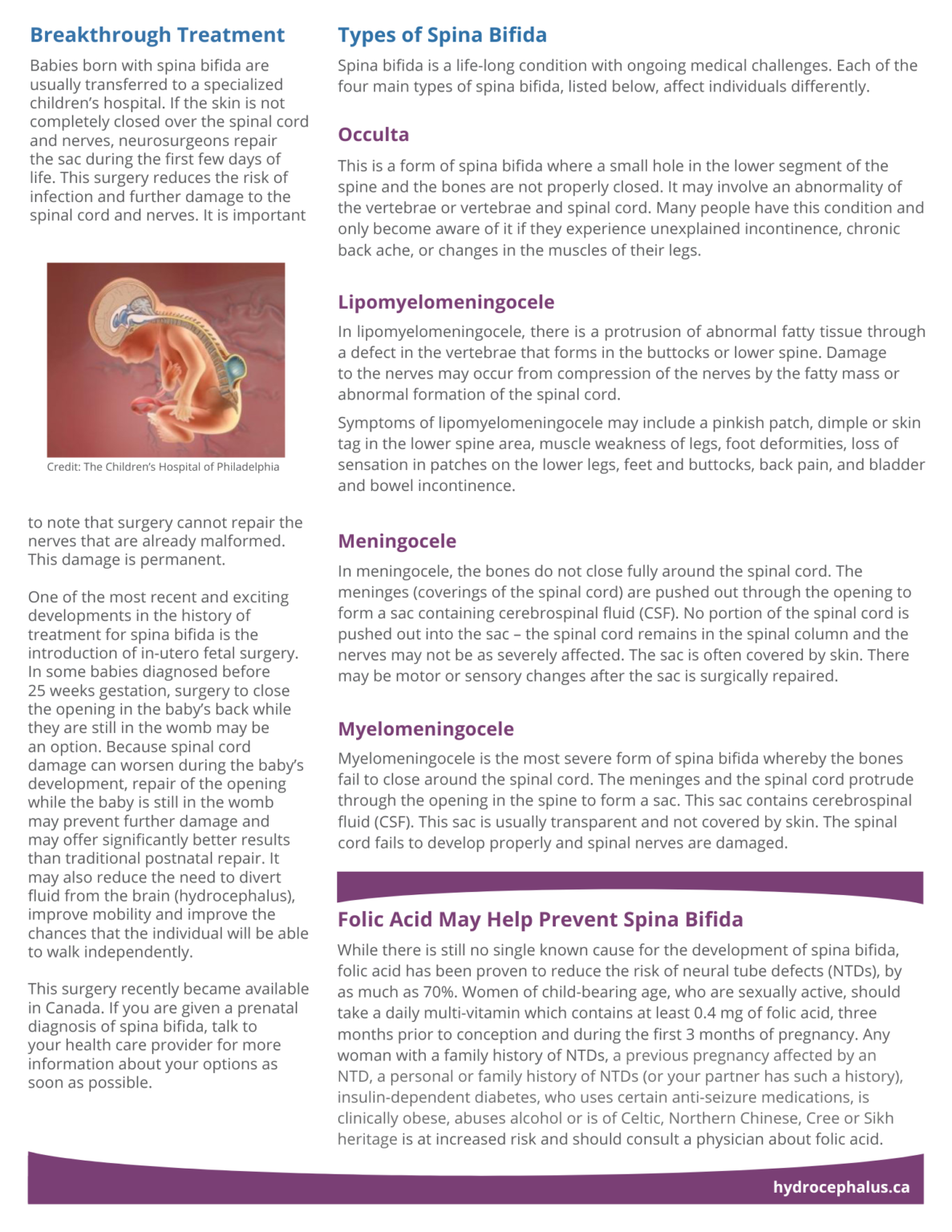 Understanding Spina Bifida - Hydrocephalus Canada