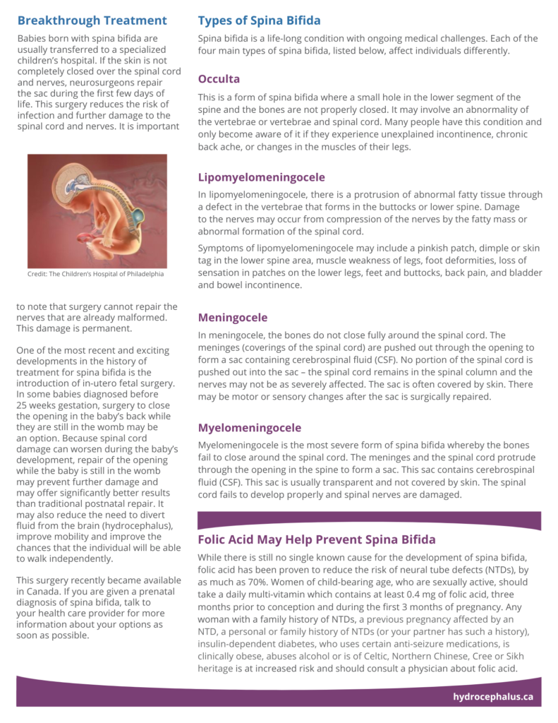 Understanding Spina Bifida - Hydrocephalus Canada
