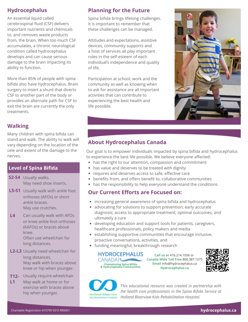 Understanding Spina Bifida - Hydrocephalus Canada