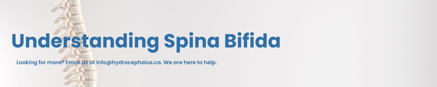 Understanding Spina Bifida – Hydrocephalus Canada
